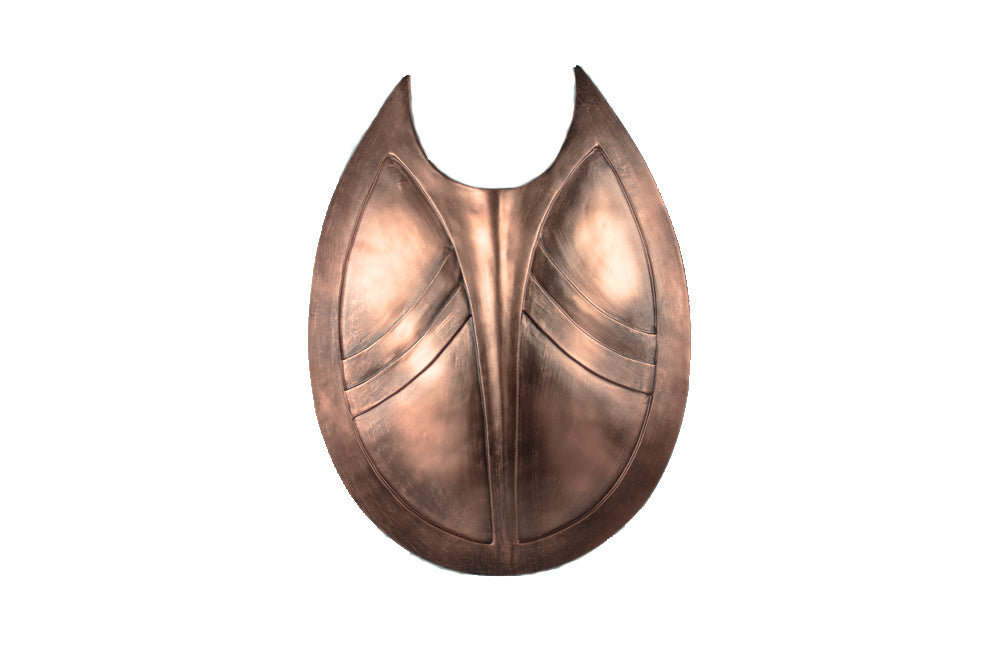21.5" X 18" Demon's Diablo Shield – Neptune